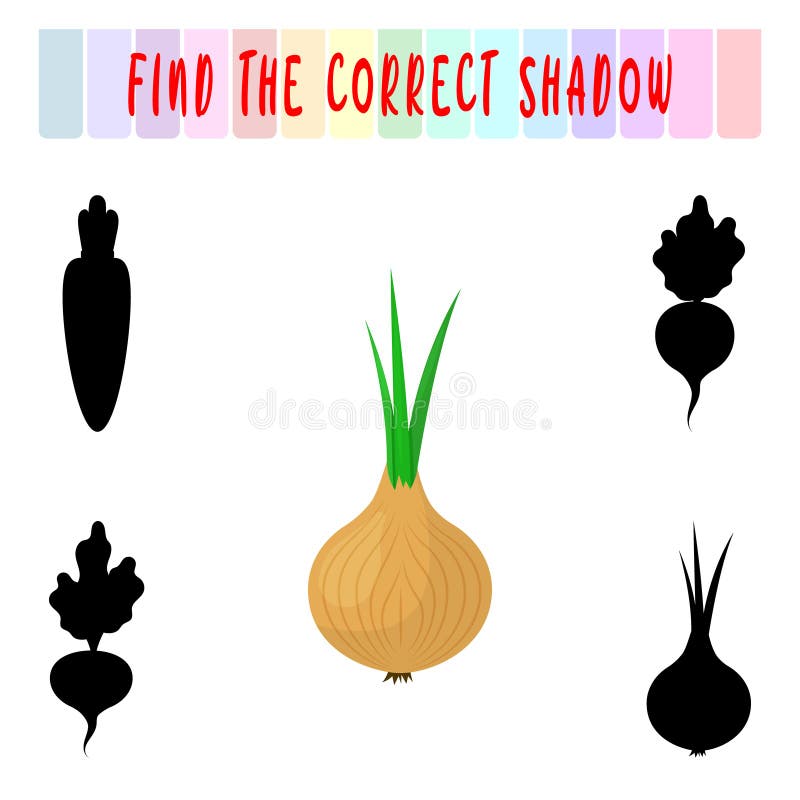 Find the Right Shadow. Cute Onion. Educational Game with Vegetables ...