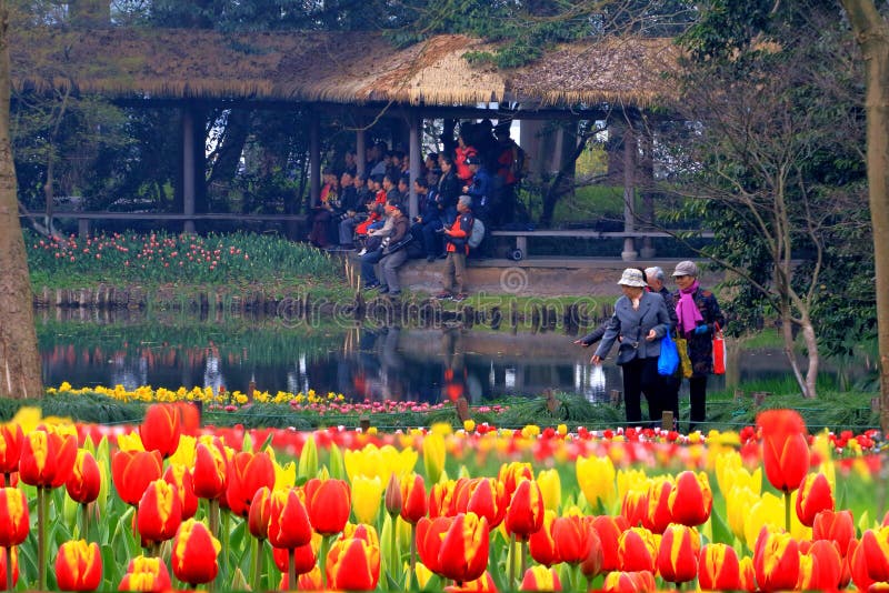 Find the Scenery Pleasing To Both the Joy Spring Outing in Nature ...