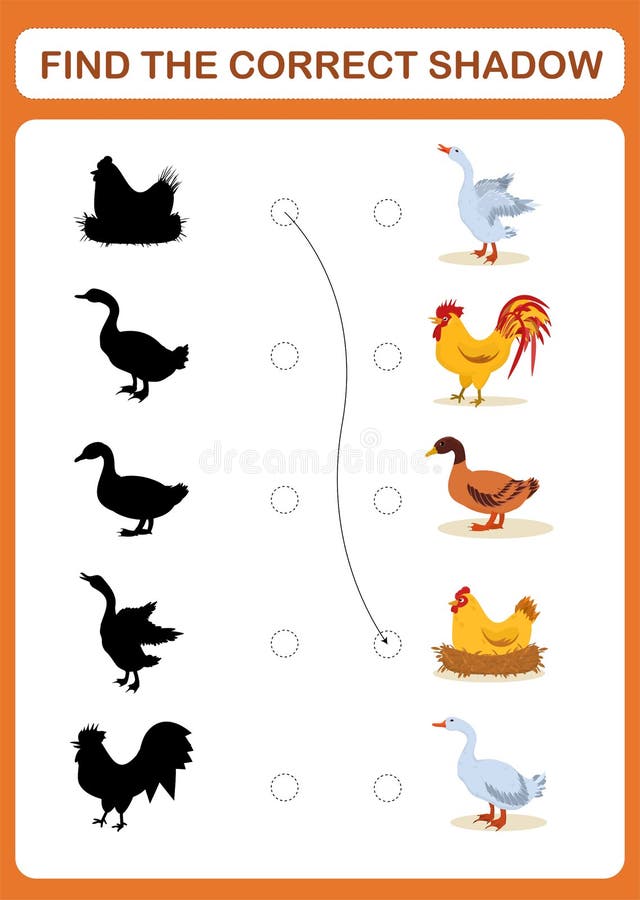 A Children`s Educational Game Called `Find the Right Shadow` with Birds ...