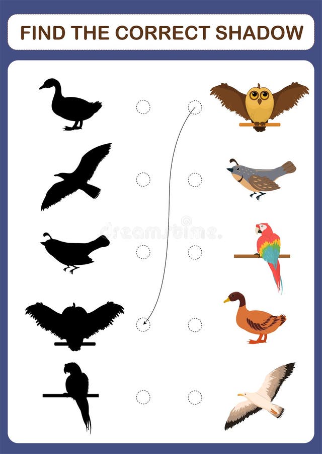 A Children`s Educational Game Called `Find the Right Shadow` with Birds ...
