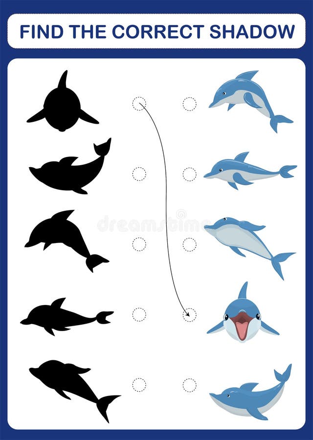 A Children`s Educational Game with Dolphins Called `find the Correct ...