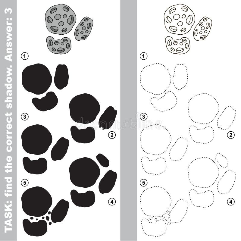 Find True Correct Shadow, the Educational Kid Game. Stock Illustration ...