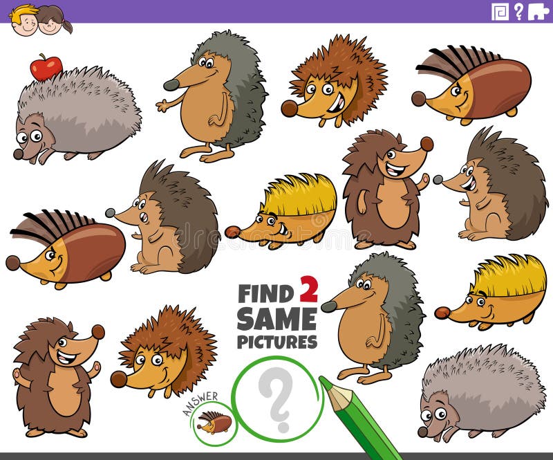Find Two Same Cartoon Hedgehogs Educational Activity Stock Vector ...