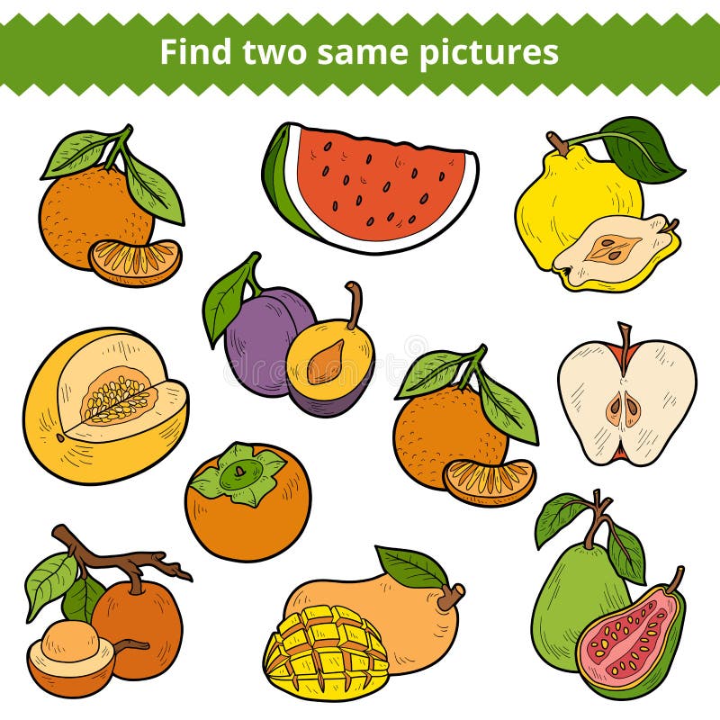 Find Two Same Pictures. Vector Set of Fruits Stock Vector ...
