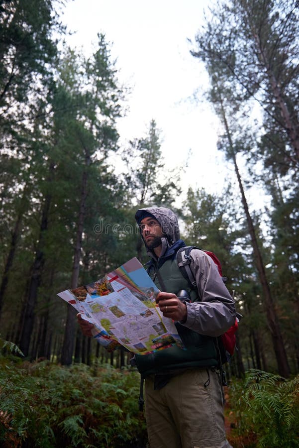 Find Your Path. a Man in a Pine Forest with a Map, Figuring Out His ...