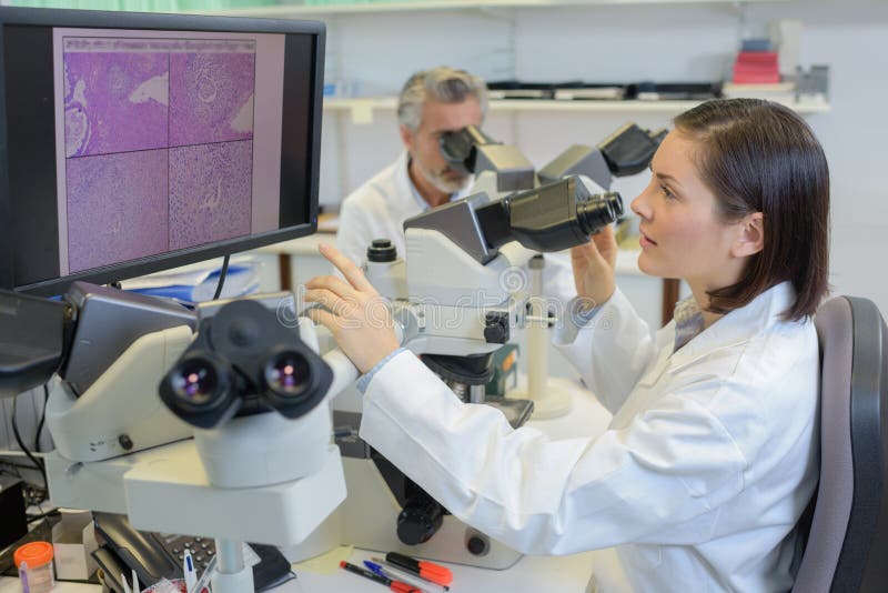 They finding breakthrough stock photo. Image of analyze - 229443192