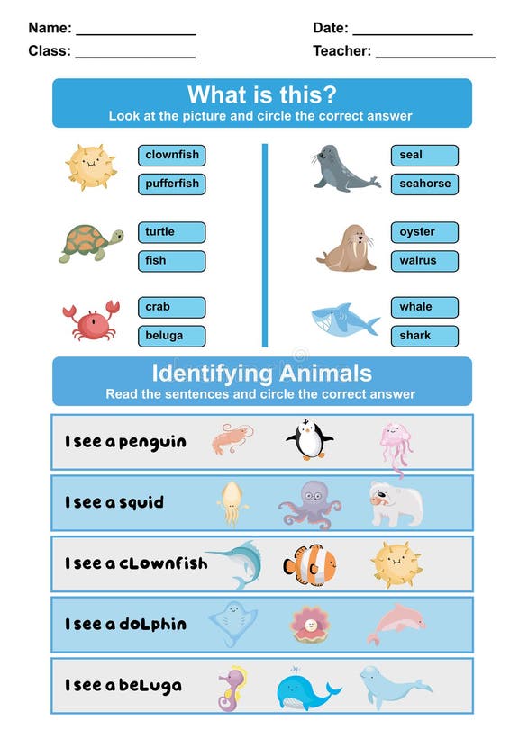Finding and Circle the Correct Answer. Activity Sheet for Preschool ...