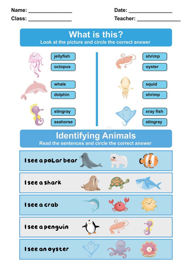 Finding and Circle the Correct Answer. Activity Sheet for Preschool ...