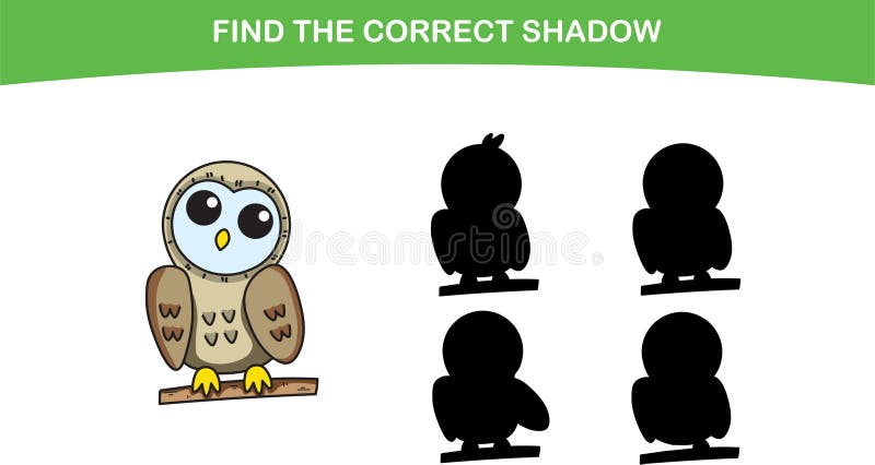 Finding the Correct Owl Shadow. Find the Correct Shadow Stock Vector ...