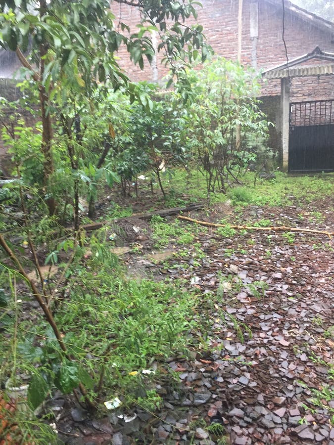 Finding garden stock photo. Image of little, land, garden - 147517374