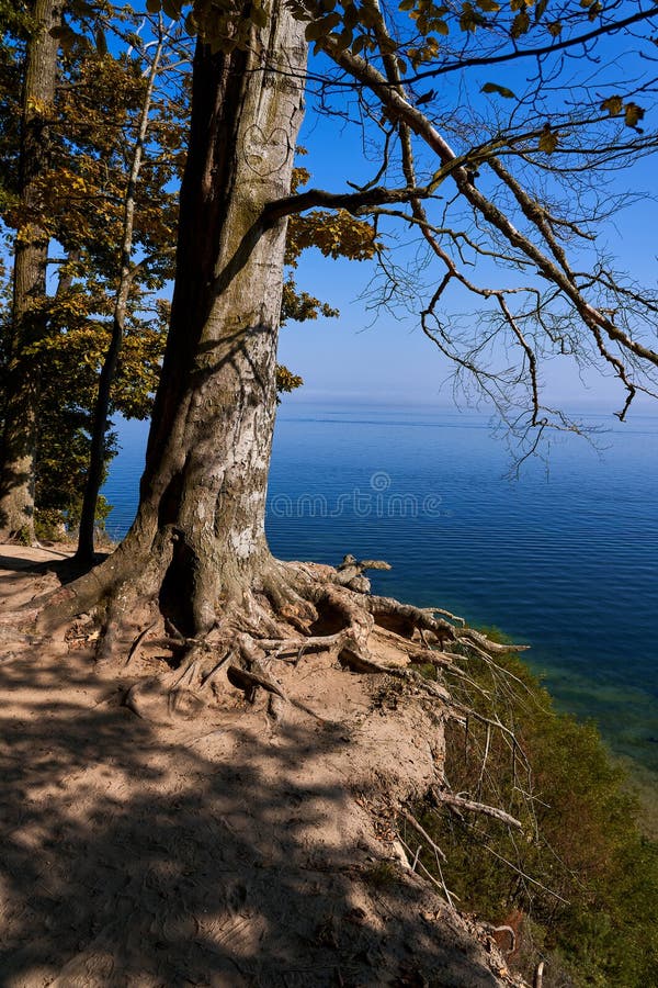 Finding a Place of Power Near the Sea, Standing on the Cliff. Vertical ...
