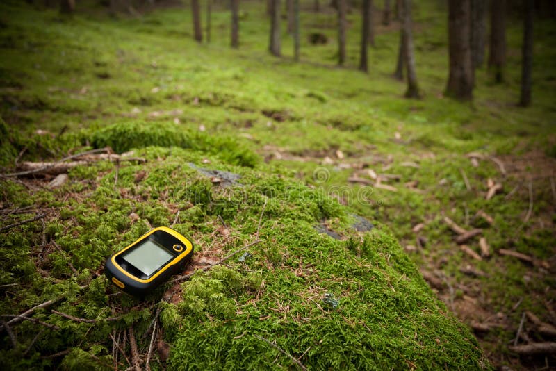 Finding the Right Position in the Forest with a Gps Stock Image - Image ...