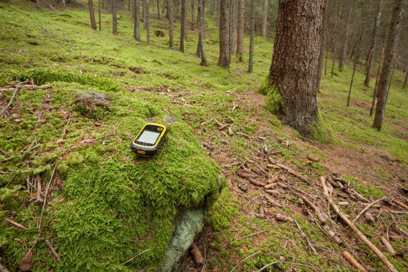 Finding the Right Position in the Forest with a Gps Stock Image - Image ...