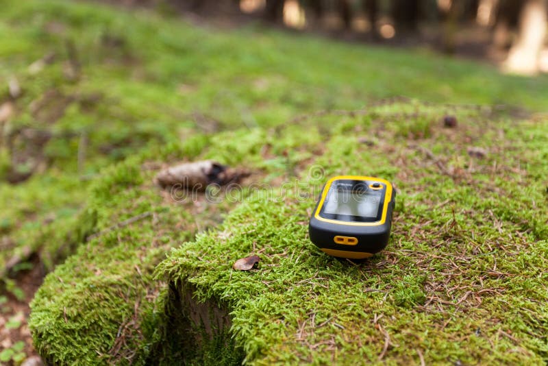 Finding the Right Position in the Forest with a Gps Stock Photo - Image ...