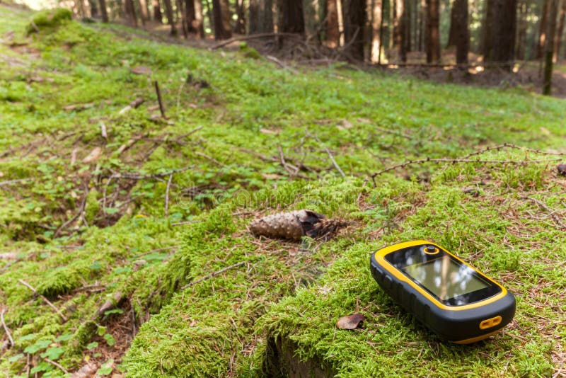 Finding the Right Position in the Forest with a Gps Stock Image - Image ...