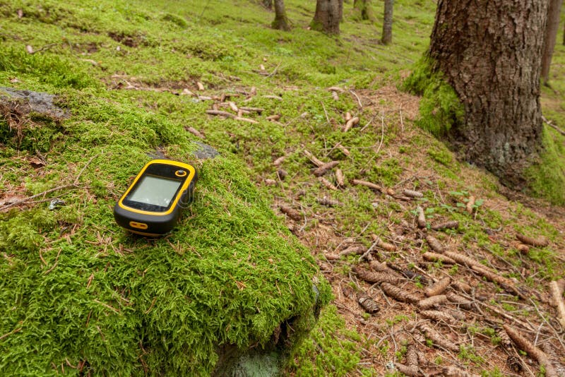 Finding the Right Position in the Forest with a Gps Stock Image - Image ...