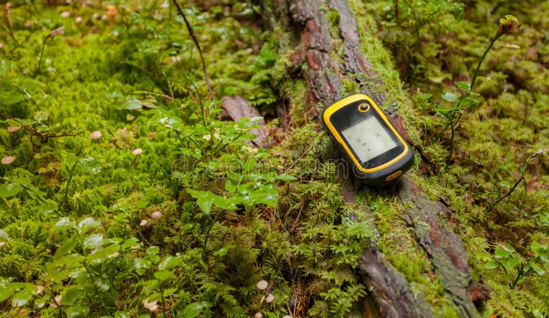 Finding the Right Position in the Forest Via Gps Stock Image - Image of ...