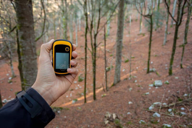 Finding the Right Position in the Forest Via Gps Stock Image - Image of ...