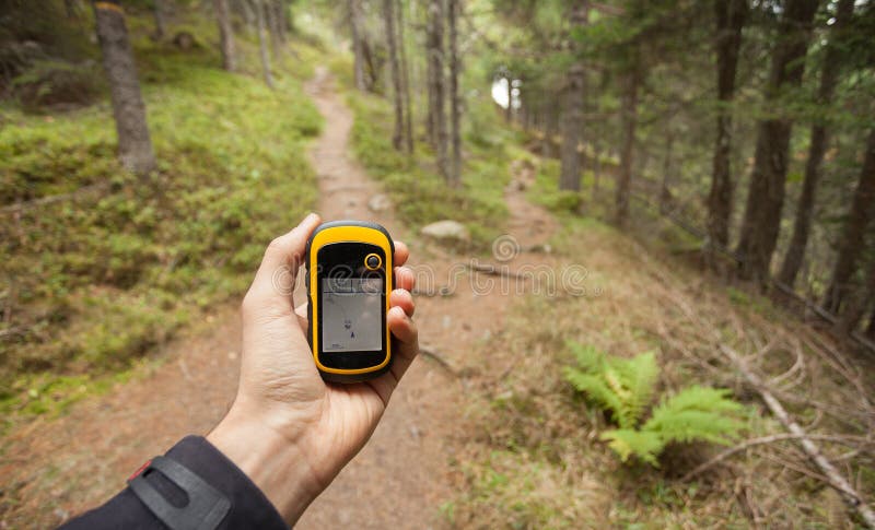 Finding the Right Position in the Forest Via Gps Stock Photo - Image of ...