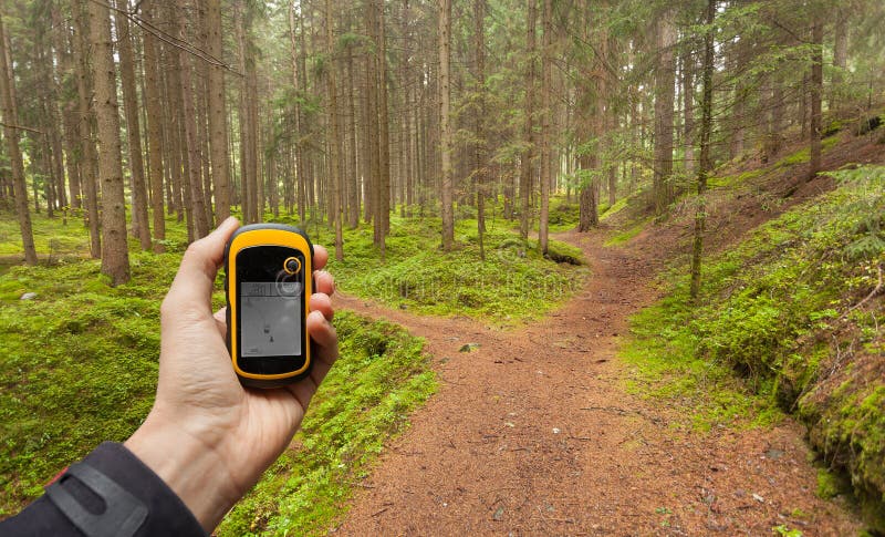 Finding the Right Position in the Forest Via Gps Stock Photo - Image of ...