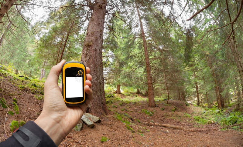 Finding the Right Position in the Forest Via Gps Stock Image - Image of ...