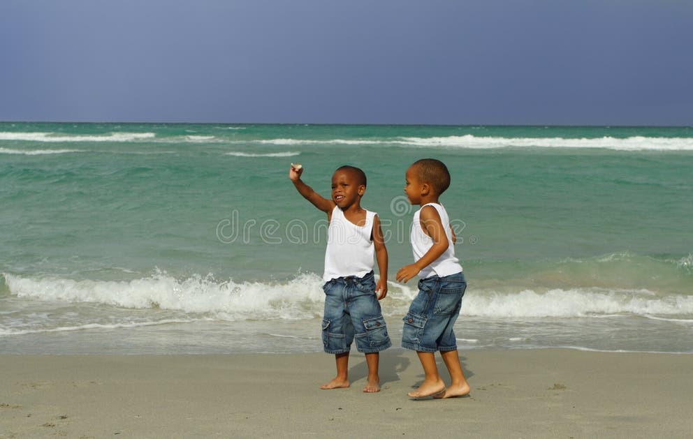 Finding Seashells stock image. Image of shell, boys, finding - 5507991