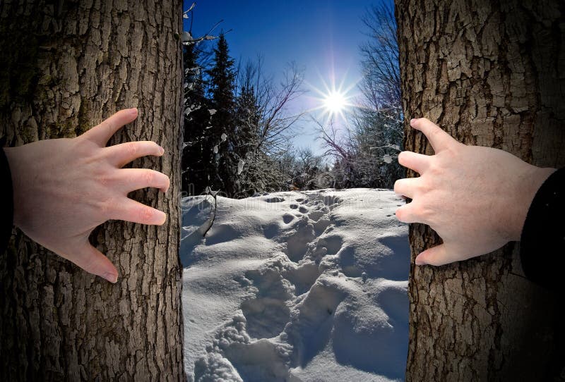 Finding the Way stock image. Image of hands, forest, long - 29017043