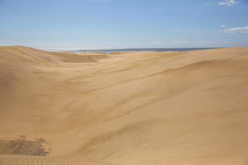 Fine Beach Sand in the Summer Sun. Sand Texture. Sandy Beach for ...