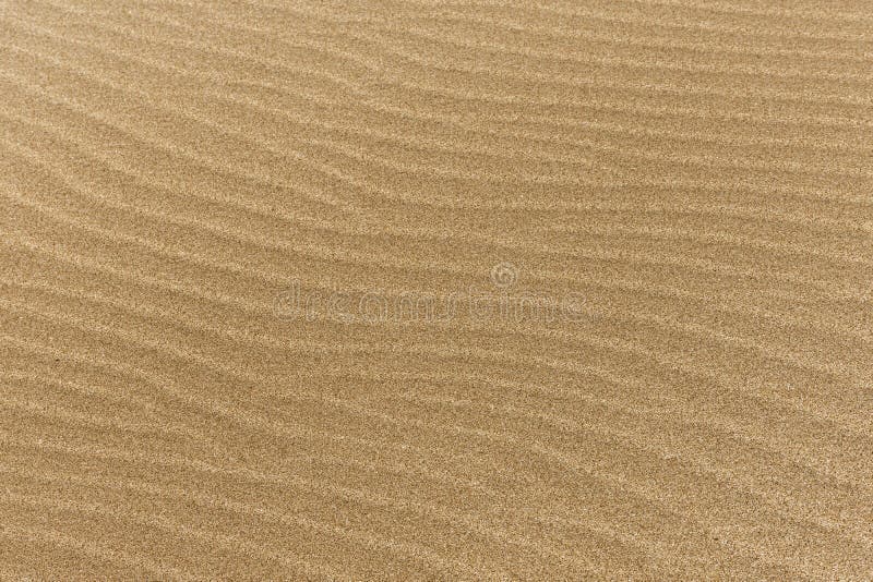Fine Beach Sand with Waves. High Quality Beautiful Photo Concept Stock ...