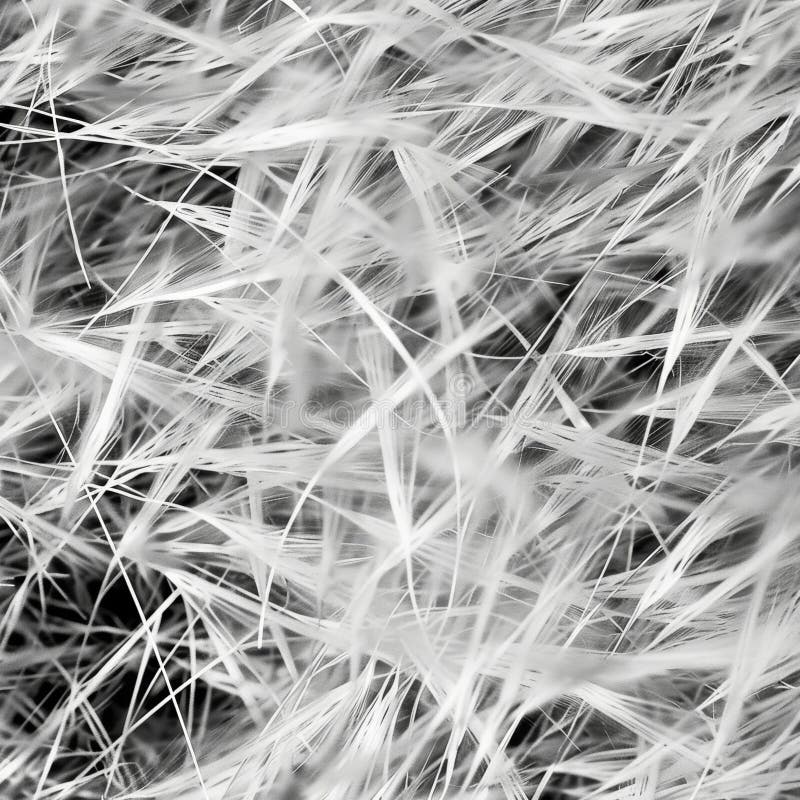 The Fine Blades of Grass Dance in the Wind Creating a Mesmerizing Pattern. Black and White Art ...