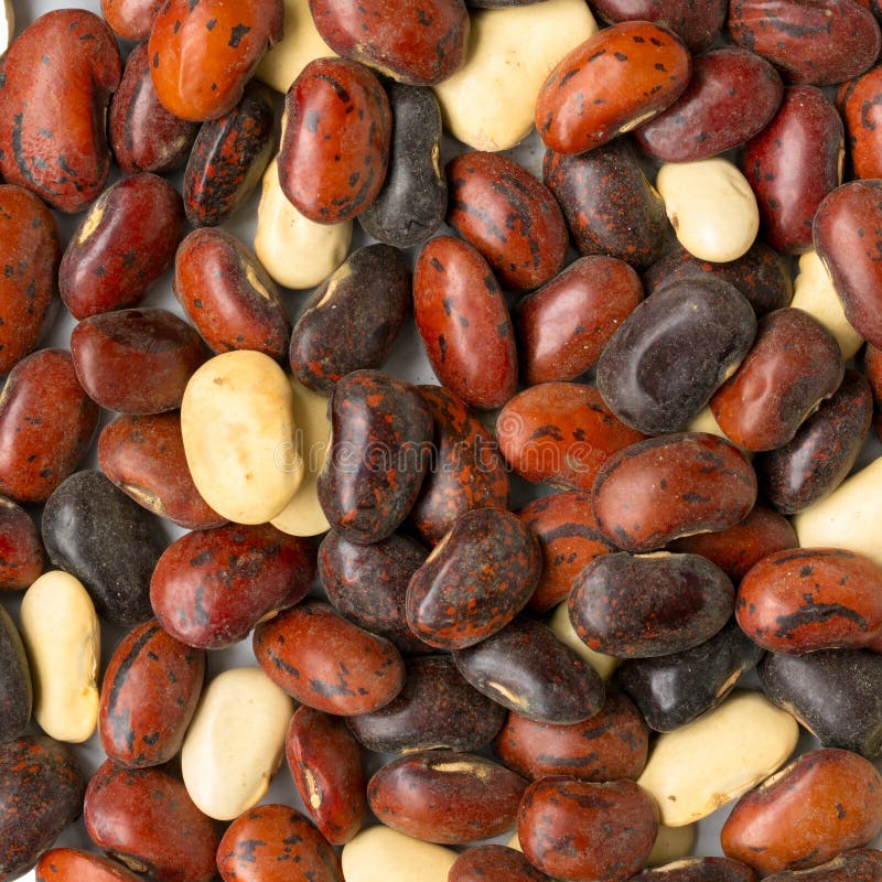 Fine Colored Beans As a Background or Texture Stock Photo - Image of ...