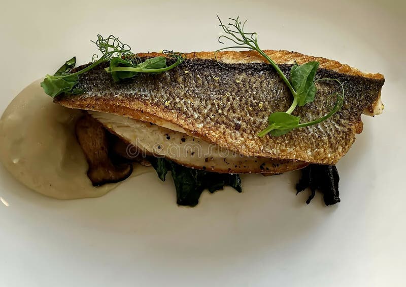 Grilled Fish Fillet on Mushrooms and Herbs Stock Image - Image of ...