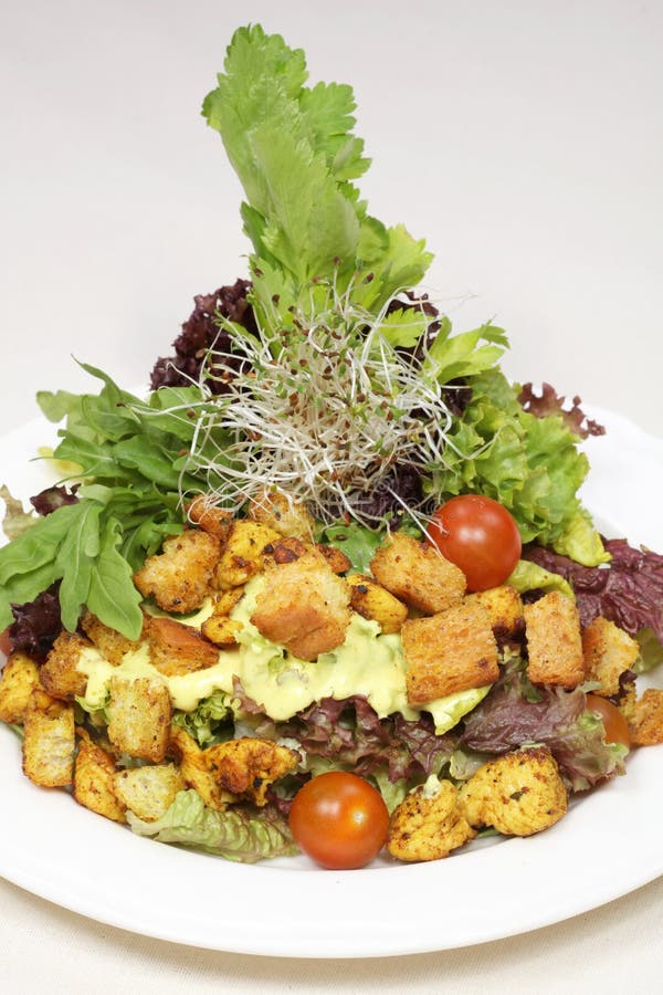 Fine Dining Meal, Chicken and Croutons Salad Stock Photo - Image of ...
