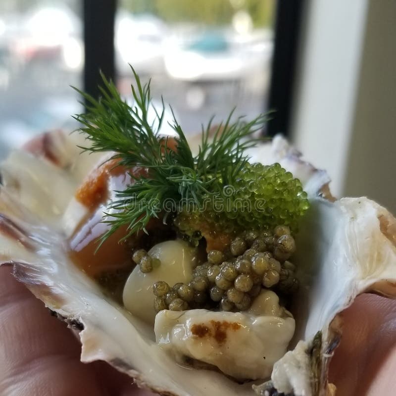 Gormet oyster stock image. Image of dining, fine, gormet - 112773243