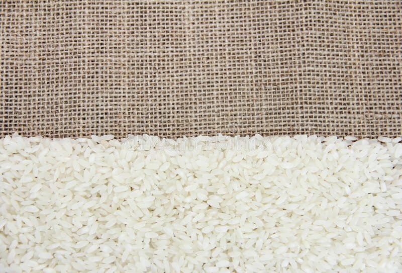 Fine Dry Natural White Rice Stock Image - Image of fresh, farming ...