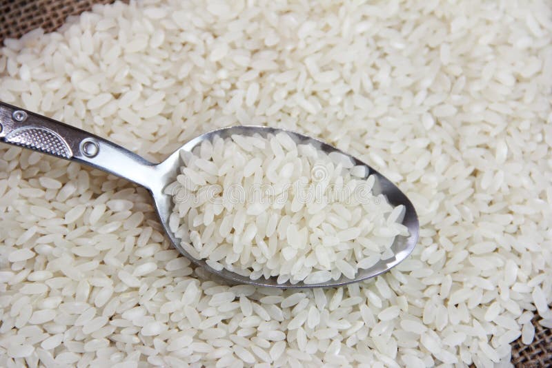 Fine Dry Natural White Rice Stock Photo - Image of meal, natural: 230374832