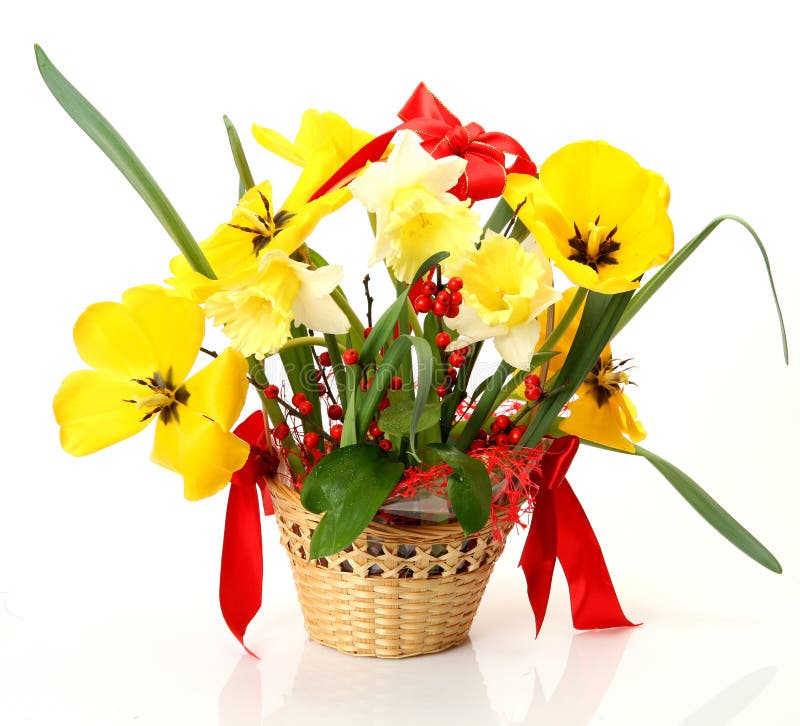 Fine flowers stock image. Image of color, ornament, white - 24551399