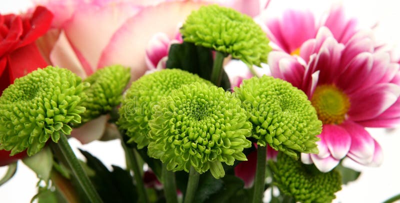 Fine flowers stock image. Image of holiday, harmony, petal - 25413417