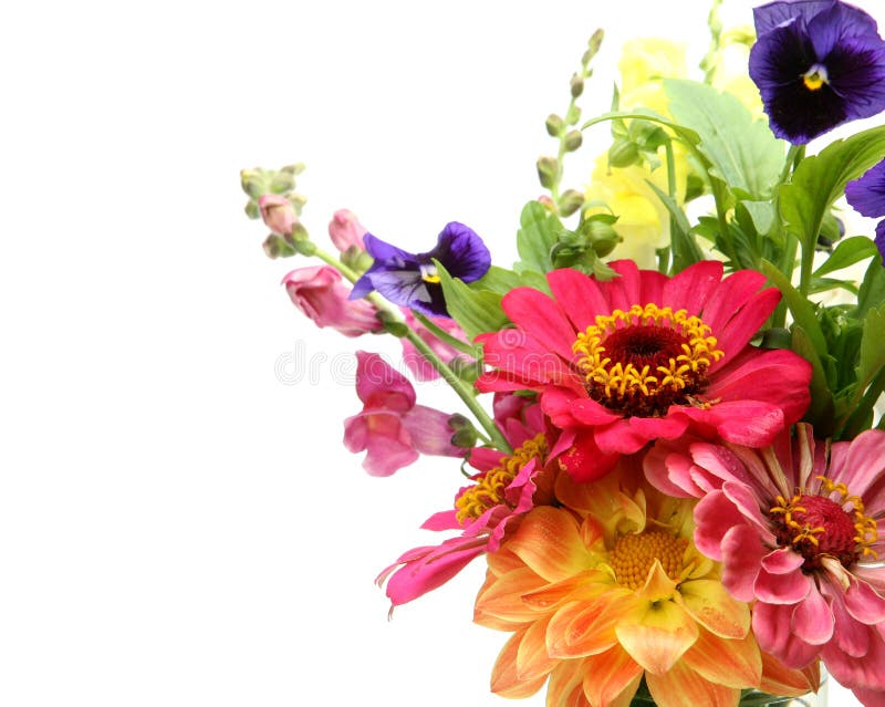 Fine flowers stock photo. Image of petal, bouquet, decorative - 25418382