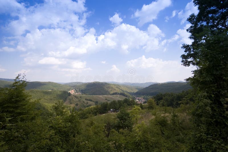 Fine forest valley stock photo. Image of relax, grassland - 3027962