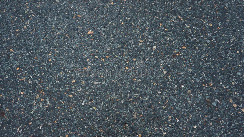 Fine-grained Asphalt, in the Afternoon after Rain. Stock Photo - Image ...
