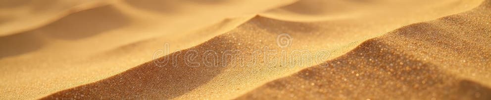Fine, Grainy Sand Texture; Subtle Light and Shadow Play , Wind, Golden ...