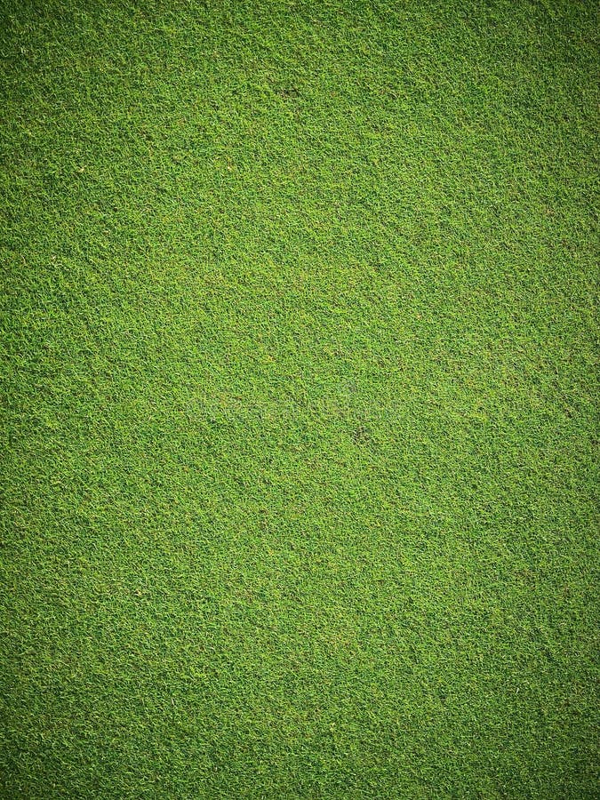 Fine Grass on a Golf Green in Bermuda Stock Image - Image of grassland ...