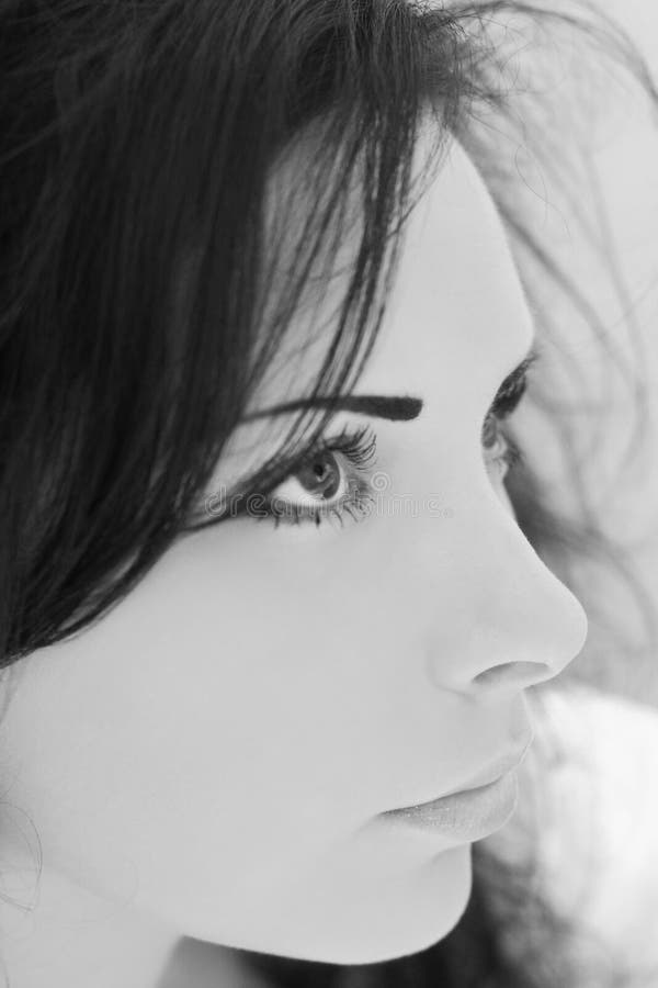 Fine lady stock image. Image of youth, brunette, lady - 28004787