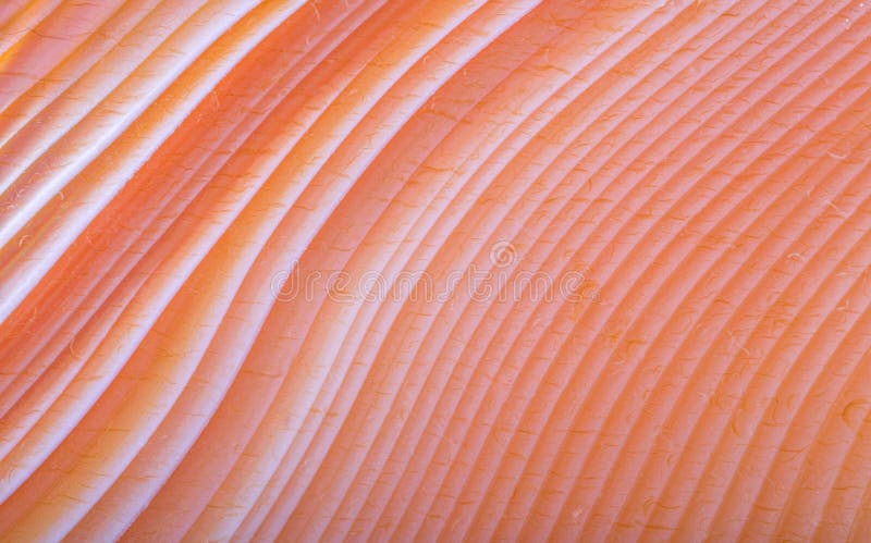 Fine Lines of Orange and White Agate Texture Stock Photo - Image of ...