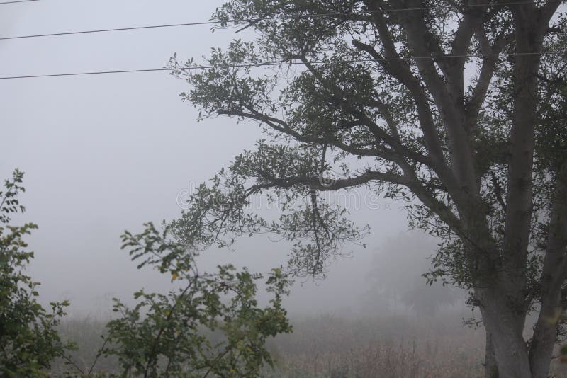 Fine Mature Man Sitting and Looking at Booklet Stock Image - Image of ...