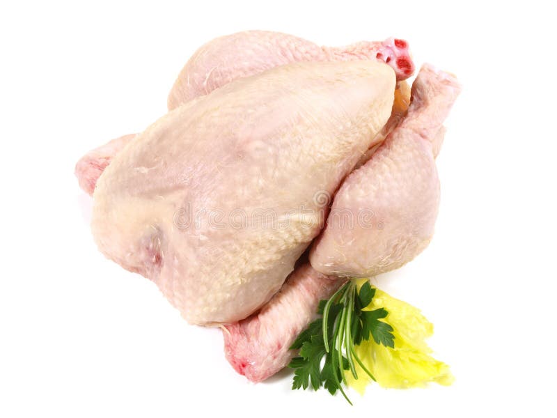 Spring Chicken stock image. Image of copy, spring, agriculture - 4301907