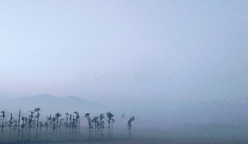 Fine Mist and As Cool As the Morning Stock Photo - Image of fine, asthe ...