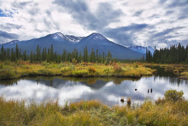 The Cold Lake, Forest and Snow Mountains in Canada Stock Image - Image ...