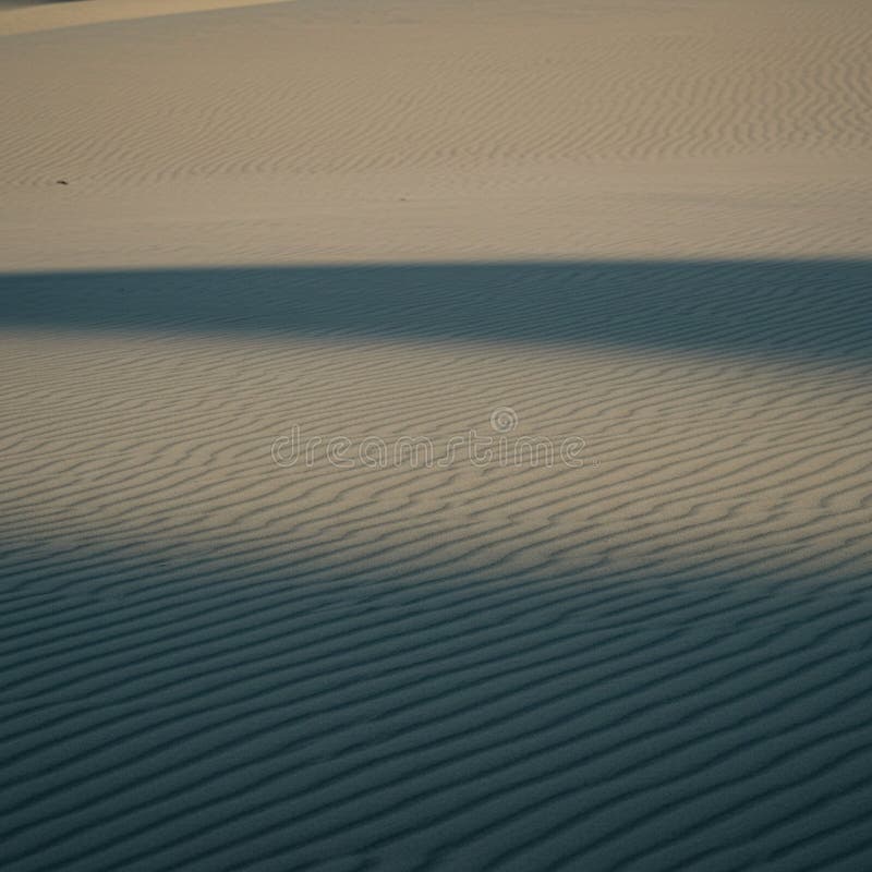 Fine Ripples of Sand Create an Intricate Pattern Across a Vast Desert ...